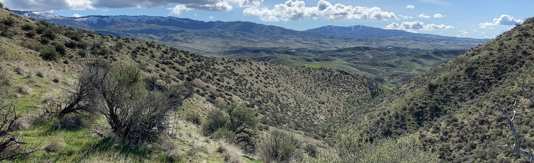 AllTrails | 36th Street Chute to Polecat Gulch: 107 Reviews, Map - Idaho
