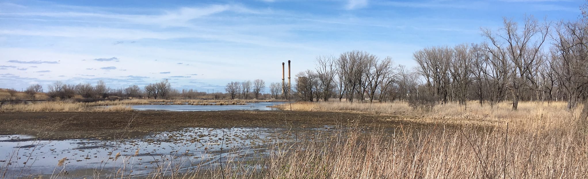 Indian Ridge Marsh Trail, Illinois - 10 Reviews, Map | AllTrails