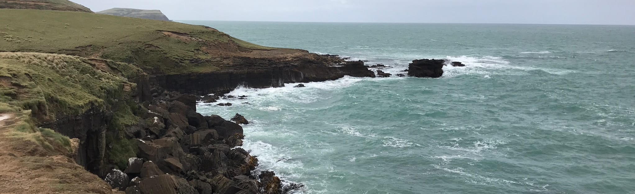 Slope Point Walk, Southland, New Zealand - 69 Reviews, Map | AllTrails
