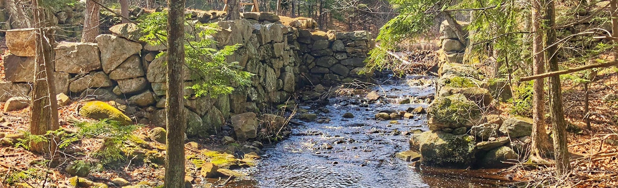 Tucker and French Mill Pond Loop, New Hampshire - 688 Reviews, Map ...