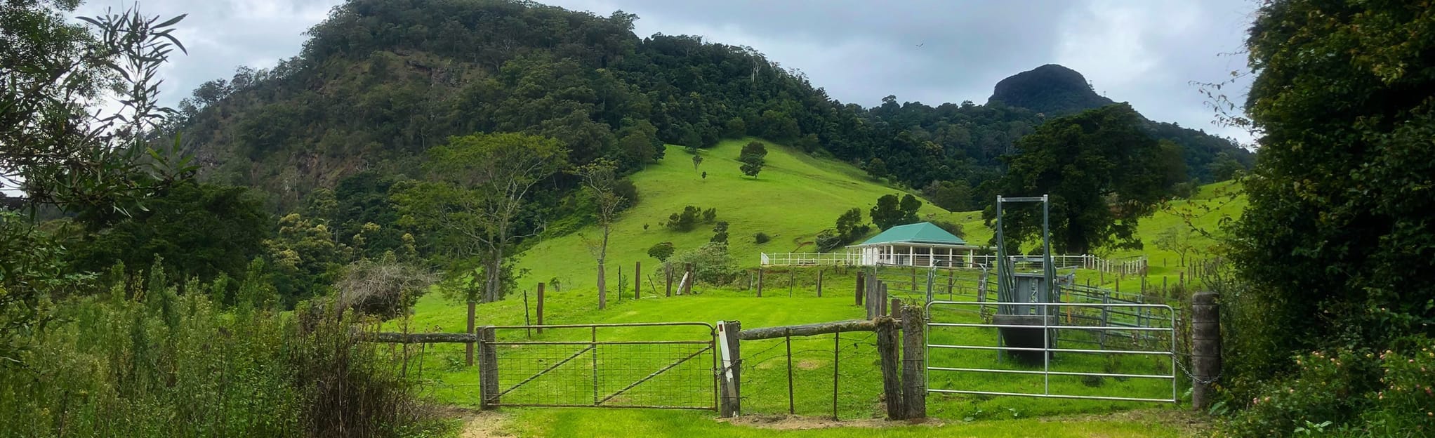 Bicentennial National Trail: Moogerah to Killarney, Queensland ...
