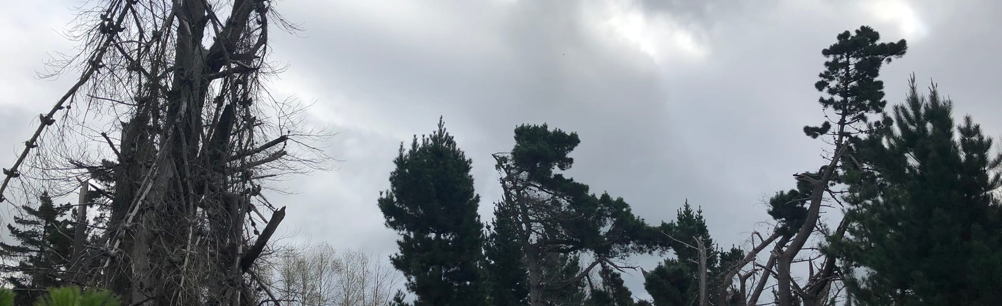 Pegasus Bay Walkway: 28 Reviews, Map - Canterbury, New Zealand | AllTrails