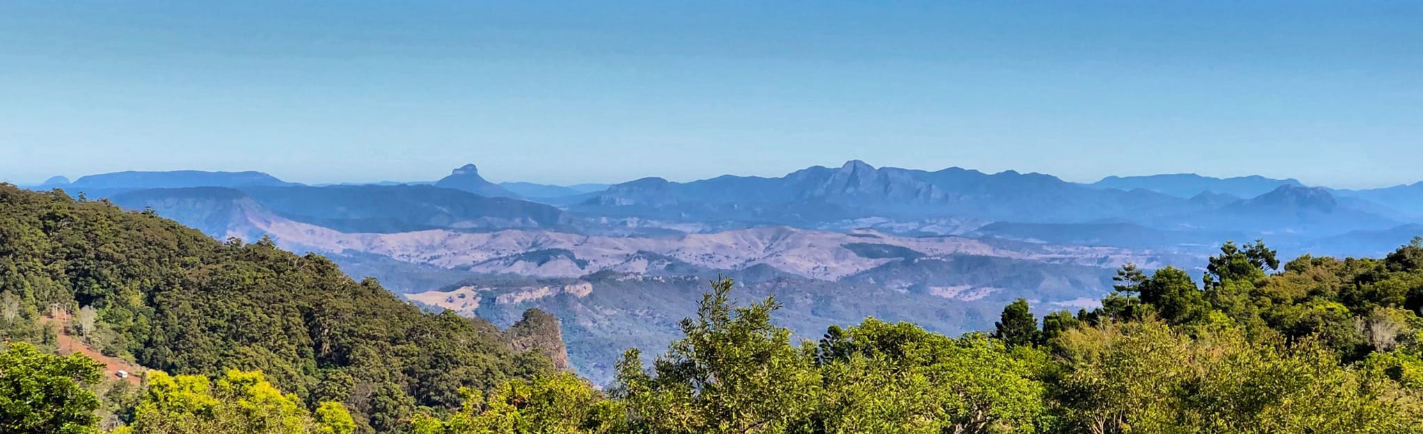 Wishing Tree via Gloworm Gully Loop: 149 fotos - Queensland, Australia ...