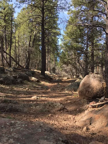 10 Best Trails and Hikes in Williams | AllTrails