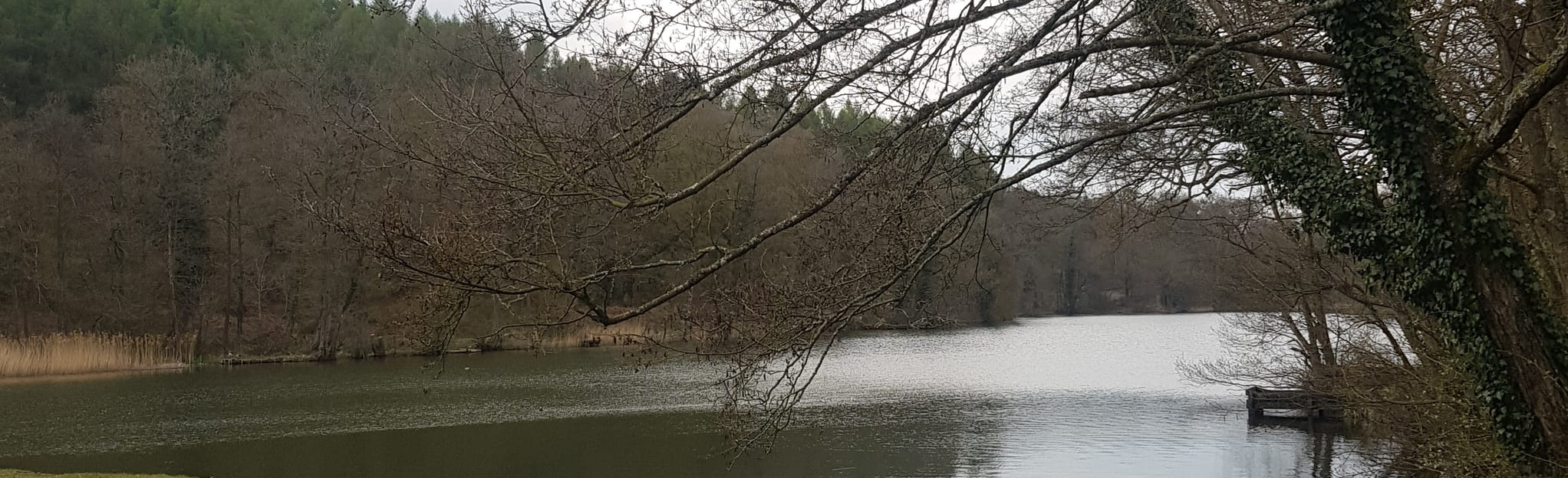 Forest of Dean Family Cycle Route, Gloucestershire, England - 149 ...