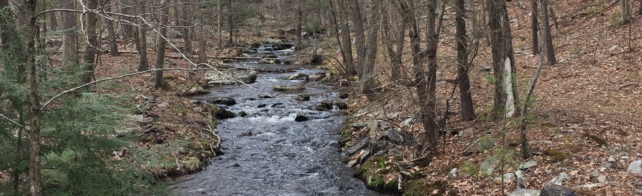 Reservoir Number Three, New York - 87 Reviews, Map | AllTrails