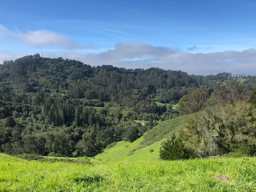 10 Best Trail Running Trails in Berkeley | AllTrails