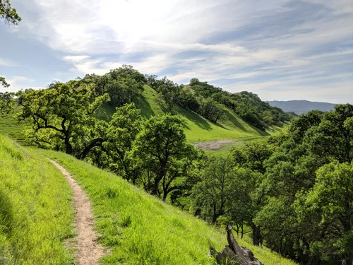 2023 Best 10 Moderate Trails in Shell Ridge Open Space | AllTrails