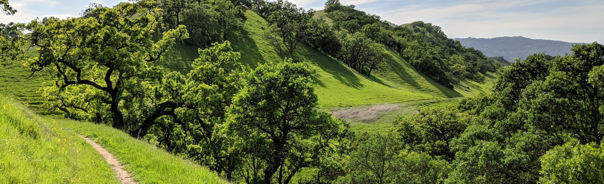 Hanna Grove, Briones to Mount Diablo Regional, and Borges Ranch Loop ...
