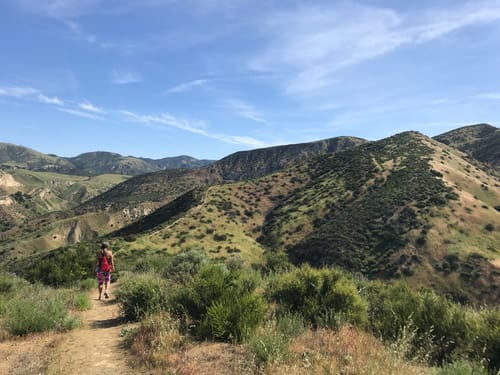 Best Hikes and Trails in Chumash Park | AllTrails