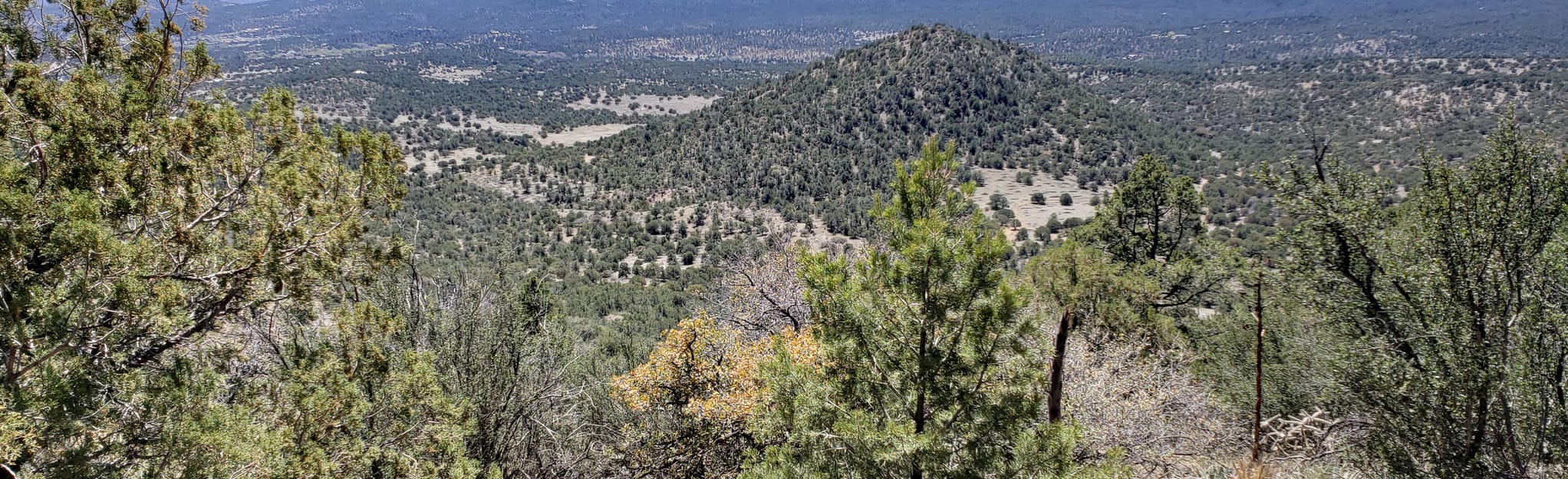 Pinon Trail and Angel Loop Trail - New Mexico | AllTrails