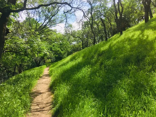 10 Best Trails and Hikes in Fairfield | AllTrails