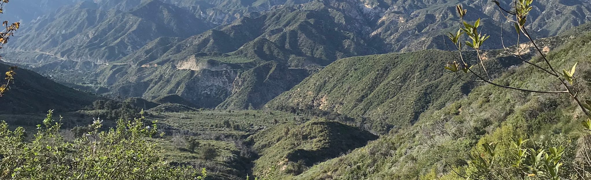 Grizzly Flat Trail - California | AllTrails