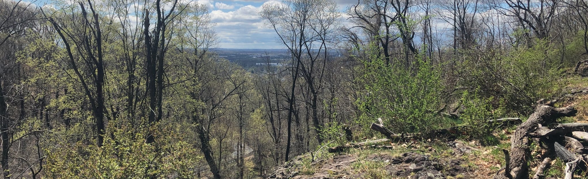 Washington Valley Yellow Loop, New Jersey - 98 Reviews, Map | AllTrails