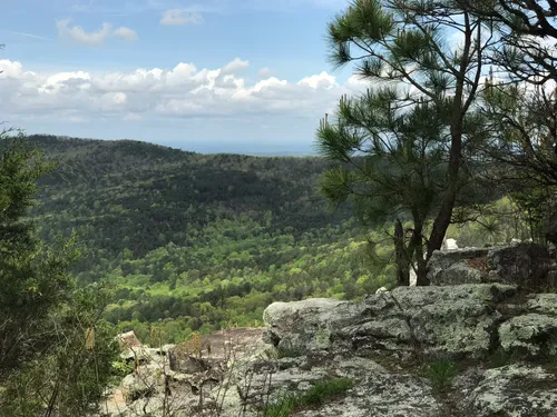 10 Best Hikes and Trails in Cheaha Wilderness | AllTrails