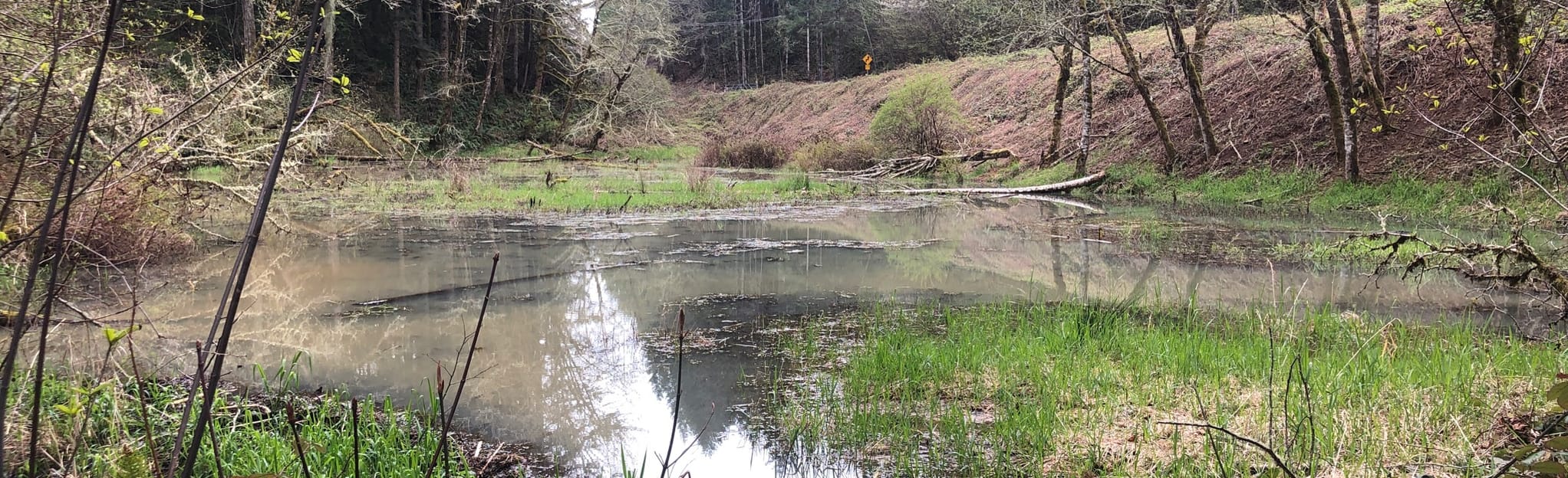 North Foster Lake Trail: 29 Reviews, Map - Oregon | AllTrails