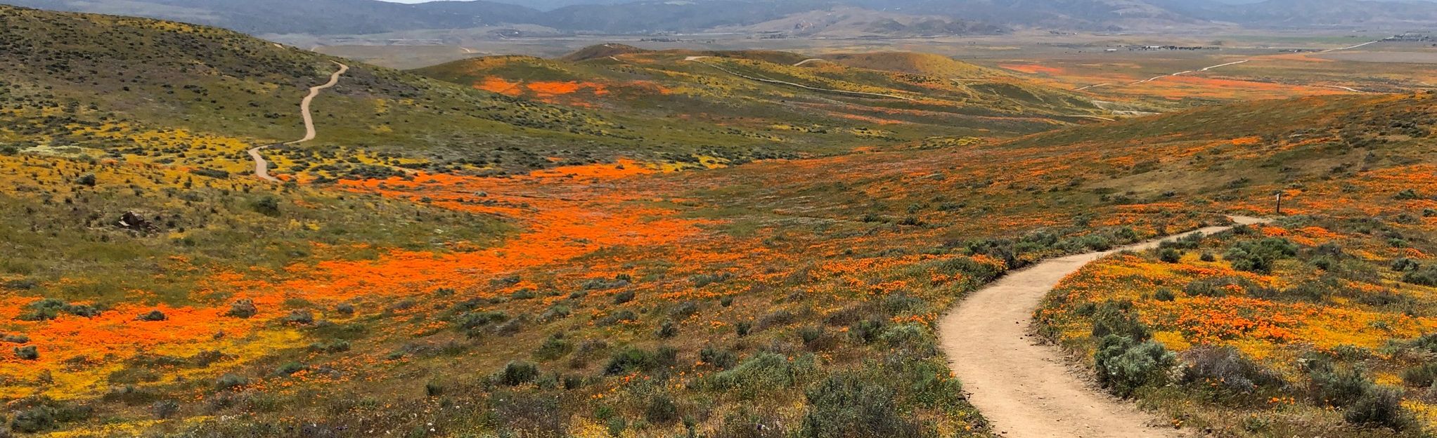 North Loop, Antelope Butte and Lightning Bolt Loop: 383 Reviews, Map ...