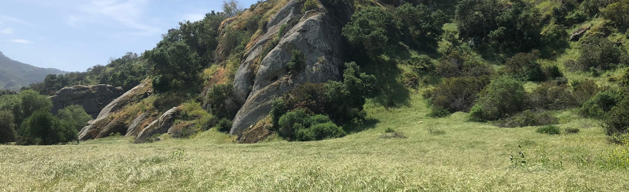 Laguna Coast Wilderness Park Loop [CLOSED], California - 164 Reviews ...