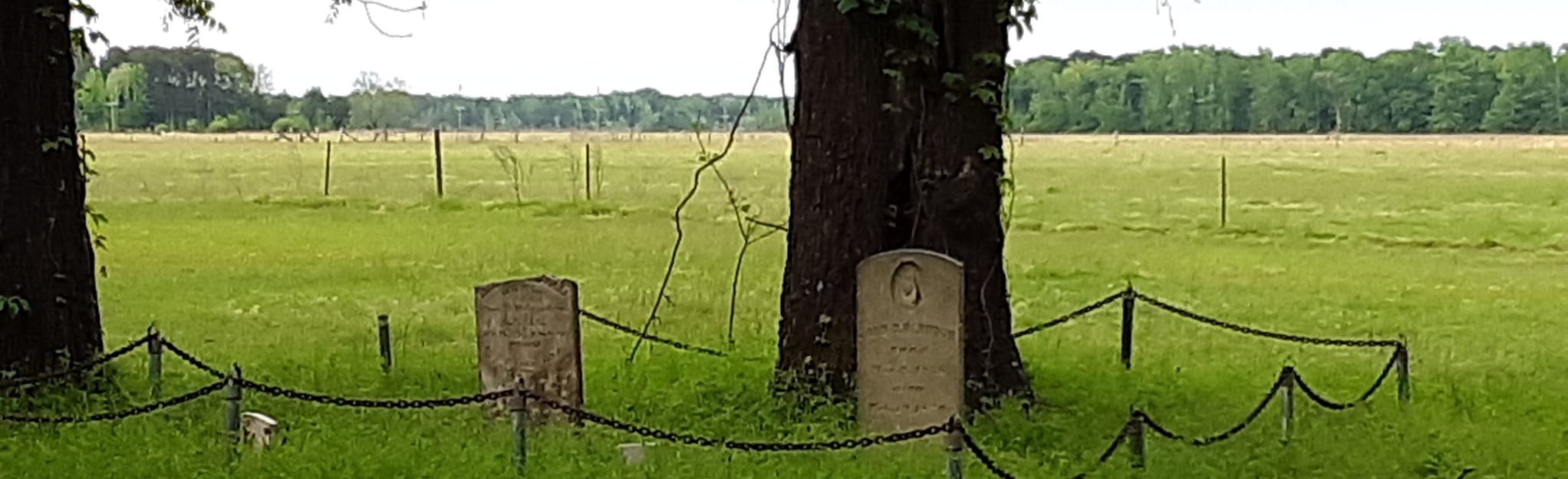 AllTrails | Conway Cemetery Historic State Park Loop: 4 Reviews, Map ...