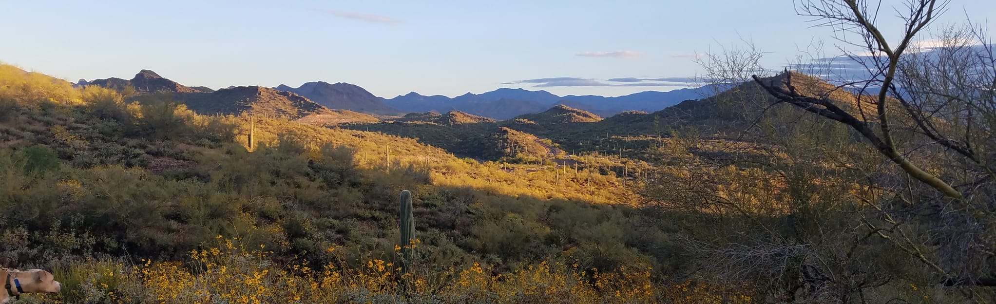 Pipeline Canyon Trail, Arizona - 699 Reviews, Map | AllTrails