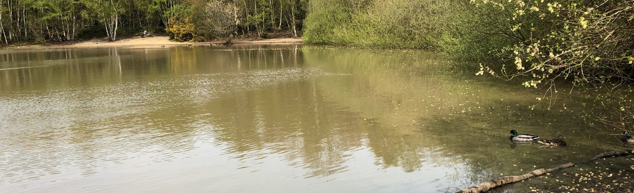 Wimbledon Common and The Toast Rack Circular: 177 Reviews, Map - London ...