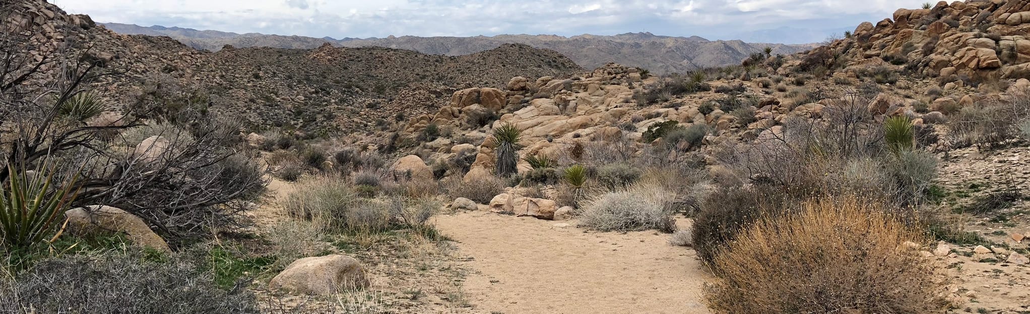 Quail Springs Historic Trail, Quail Wash, and Bigfoot Trail ...