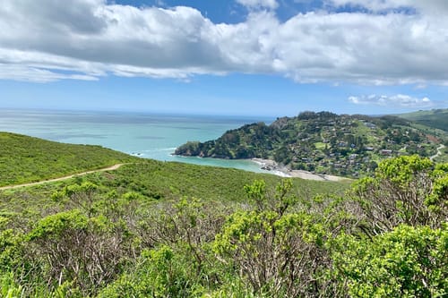 2023 Best 10 Trails and Hikes in Muir Beach | AllTrails