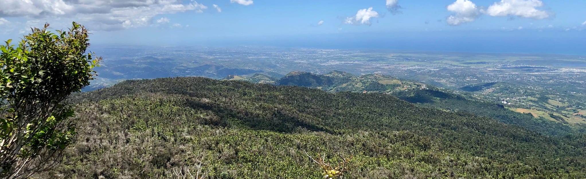 El Toro Trail | Mapa, Roteiro - East Region, Puerto Rico | AllTrails