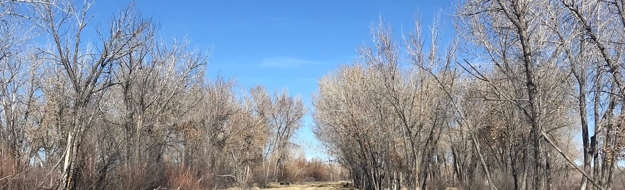 Ouray National Wildlife Refuge: 9 Reviews, Map - Utah | AllTrails