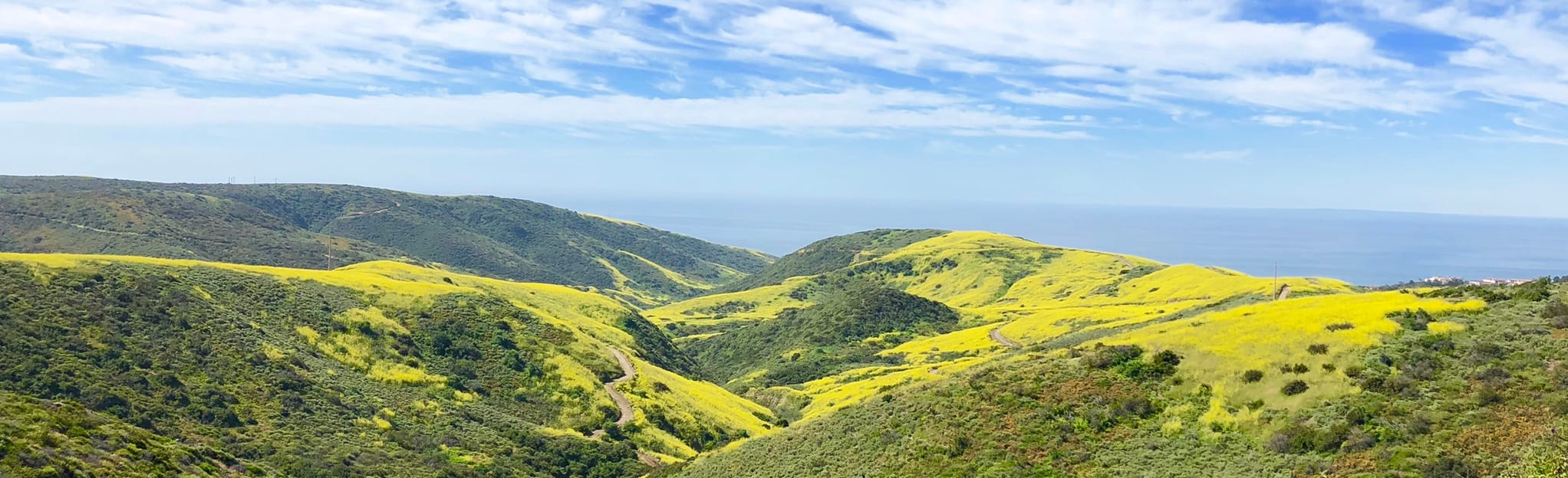 Slow 'N Easy, Poles Trail and Pacific Ridge Trail Loop, California ...