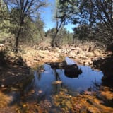 Secret Canyon Trail, Arizona - 149 Reviews, Map | AllTrails