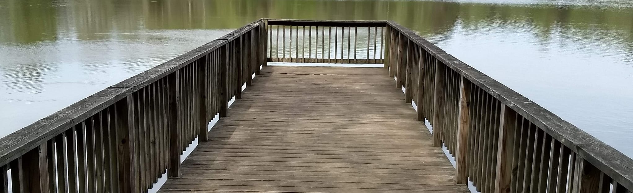 Mason Hall Trail : 269 Reviews, Map - North Carolina | AllTrails