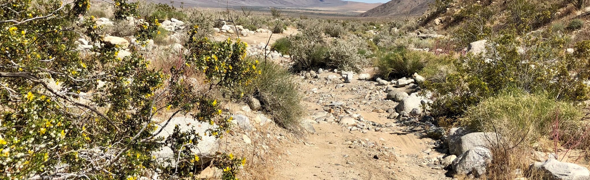 Jackass Flat & Butler Canyon Trail, California - 9 Reviews, Map | AllTrails