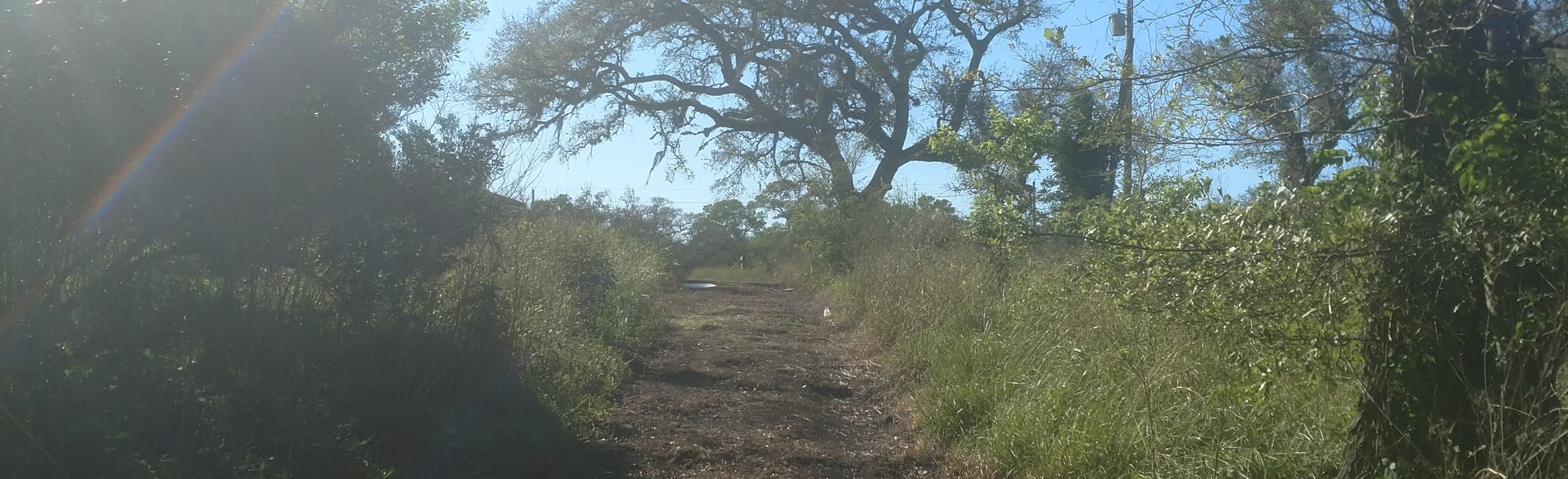 Lowland Trail Loop, Texas - 42 Reviews, Map | AllTrails