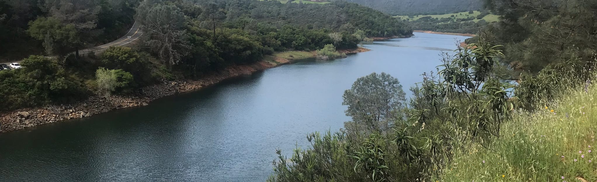 Darrington Trail : 483 Reviews, Map - California | AllTrails