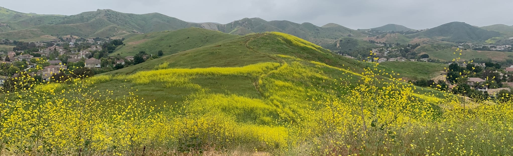 Coyote Park, Long Canyon - California | AllTrails