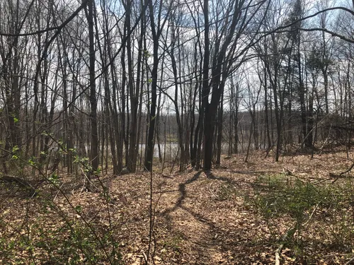 Best Hikes and Trails in Weldon Brook Wildlife Management Area | AllTrails