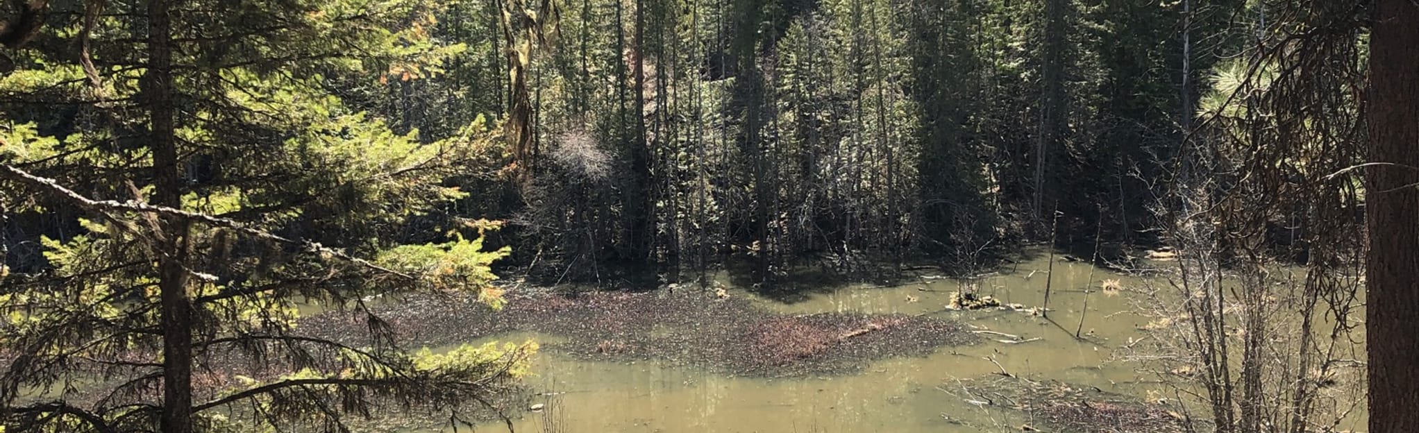 Upper Kal Park Trail- High Rim: 12 Reviews, Map - British Columbia ...