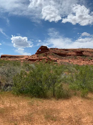 10 Best Hikes and Trails in Red Cliffs National Conservation Area ...