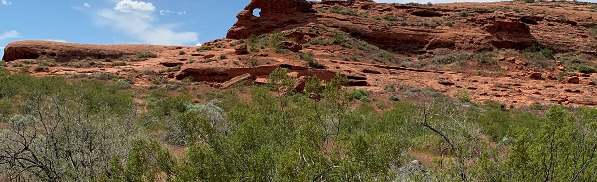 Beck Hill and Turtle Wall Loop, Utah - 474 Reviews, Map | AllTrails