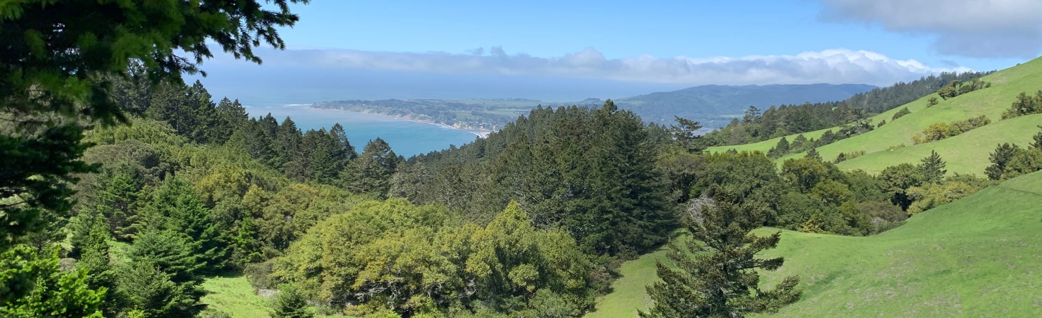 Bootjack Campground to Stinson Beach, California - 194 Reviews, Map ...