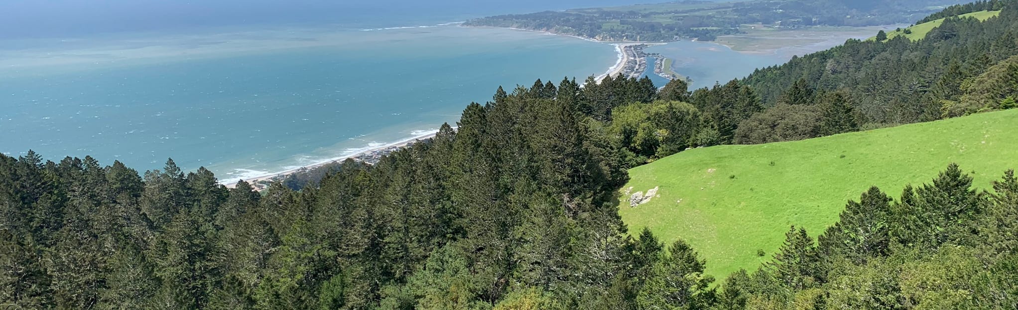 Bay Area Ridge Trail: Mt Tamalpais State Park and Bolinas Ridge: 96 ...