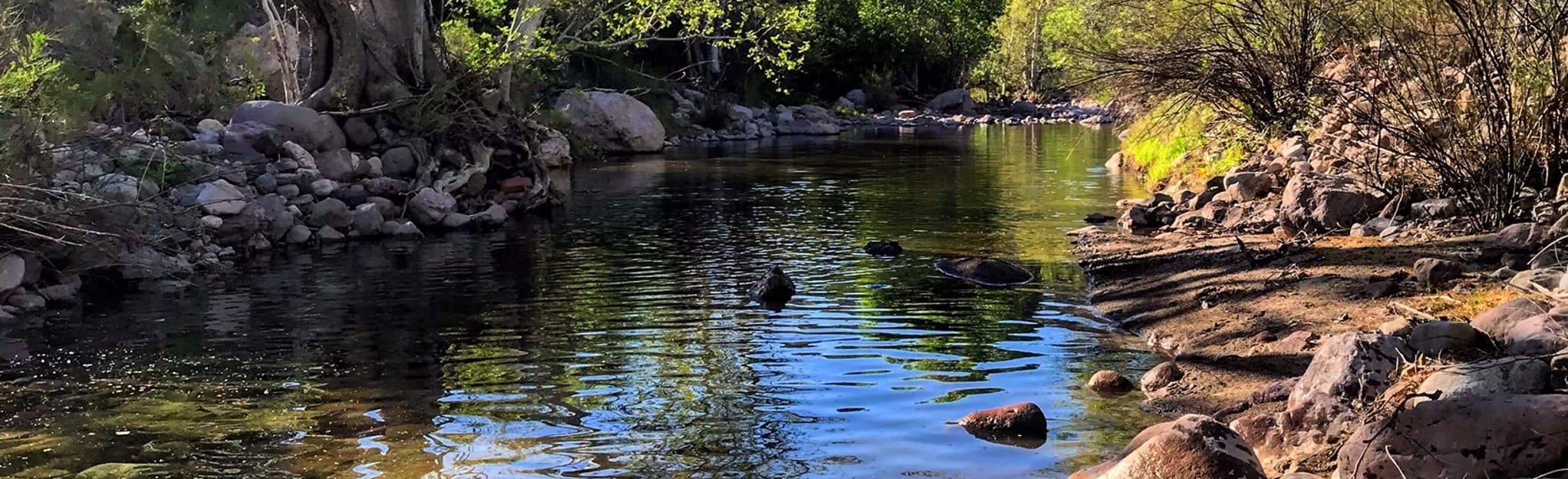 Haunted Canyon Trail to Toney Ranch, Arizona - 359 Reviews, Map | AllTrails