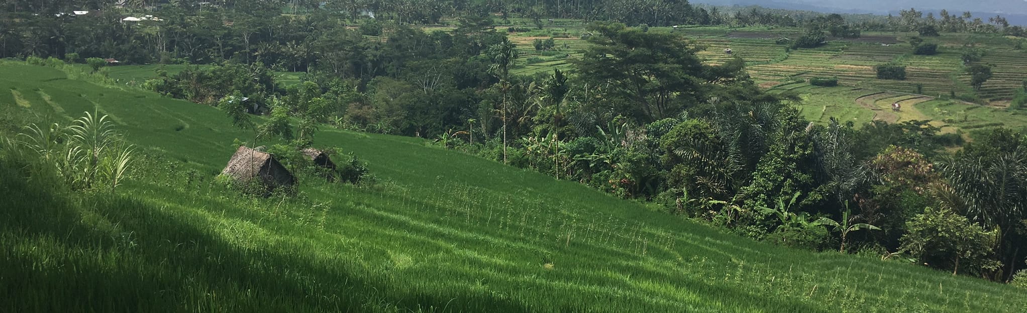 Kastala - Tenganang: 9 Reviews, Map - Bali, Indonesia | AllTrails