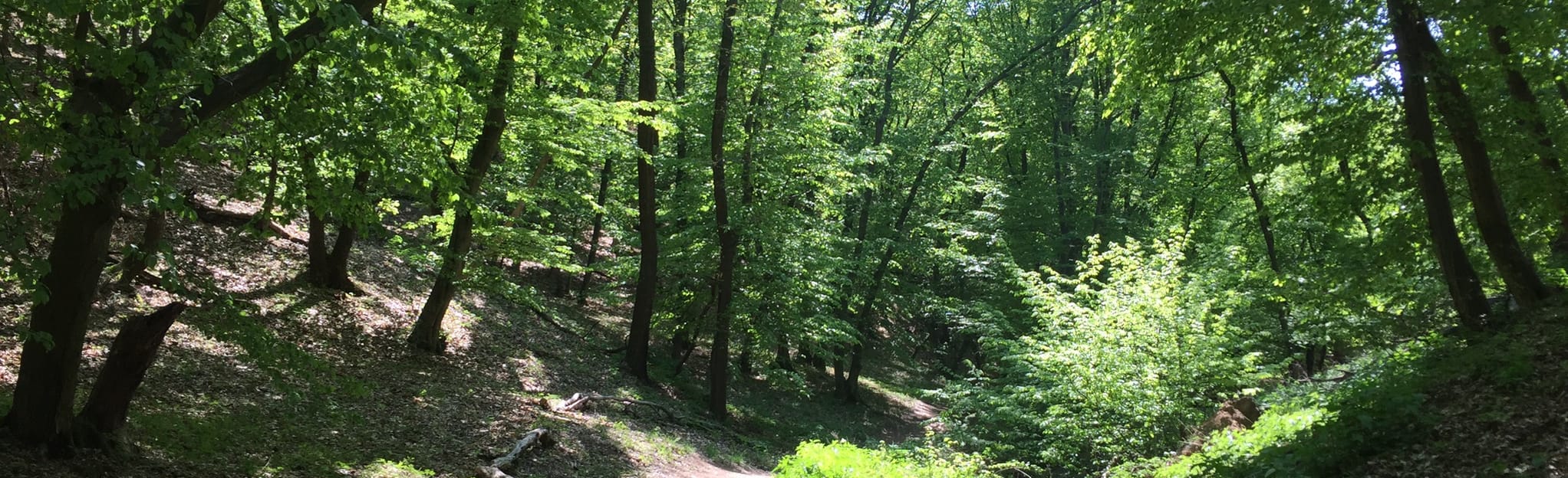 Velence-See - Templom Berg Rundwanderung: 41 Fotos - Fejér, Ungarn ...