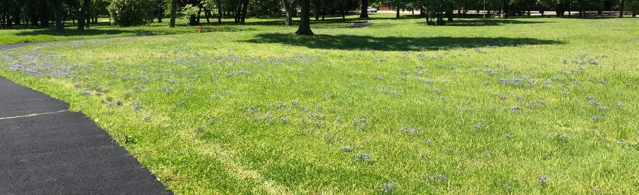 Vitruvian Park and Brookhaven Running Track Loop, Texas - 363 Reviews ...