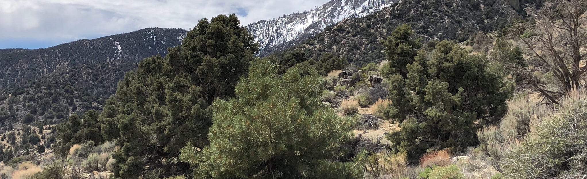 Olancha Peak, California - 45 Reviews, Map | AllTrails