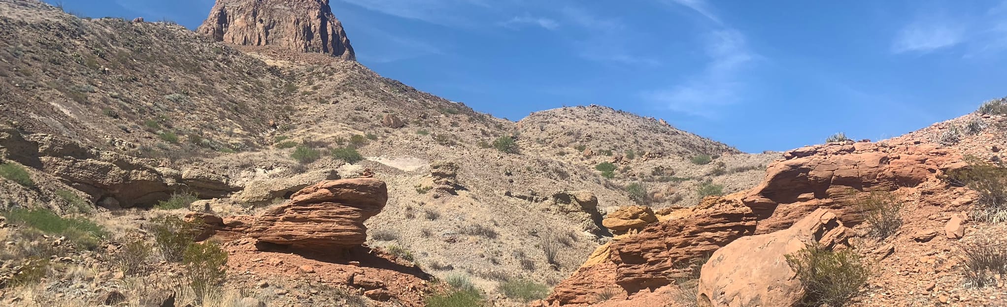 Lajitas Mesa: 99 Reviews, Map - Texas | AllTrails