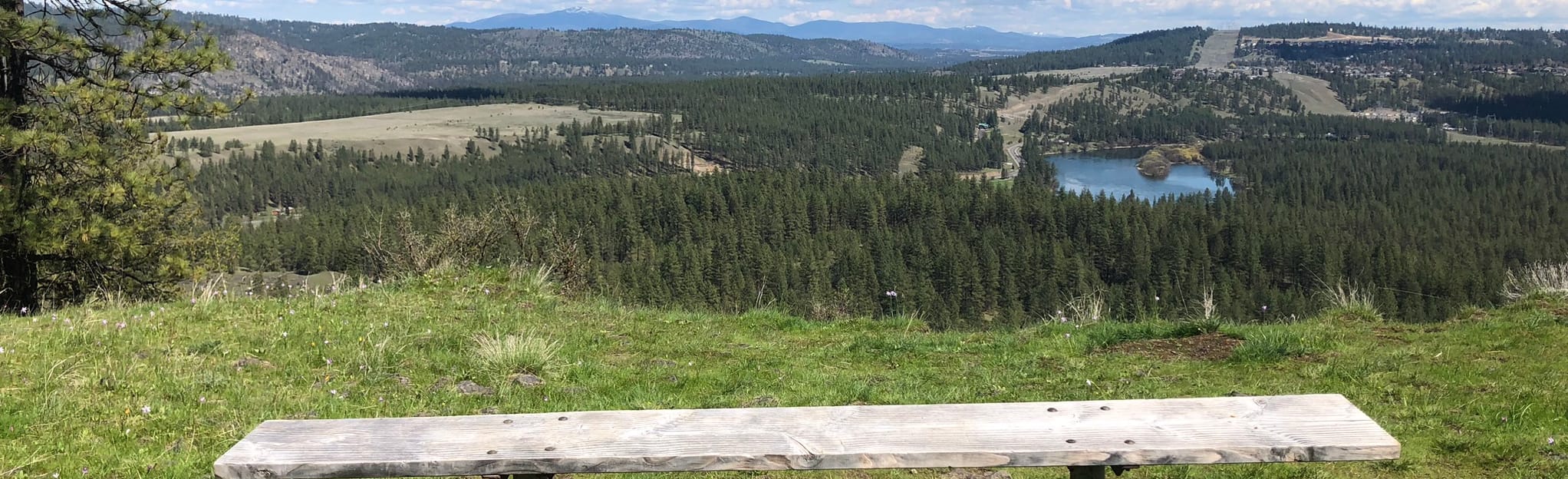 Pine Bluff Loop, Washington - 293 Reviews, Map | AllTrails