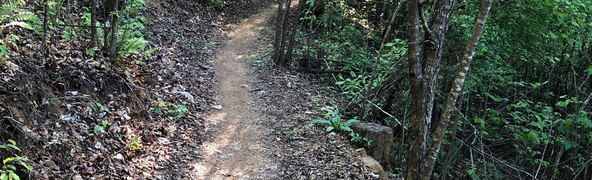 Rust Bucket, Alabama - 154 Reviews, Map | AllTrails